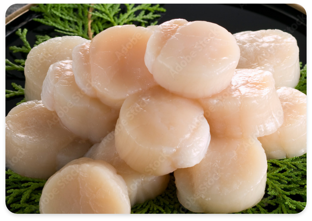 Hokkaido-Snow Seafood